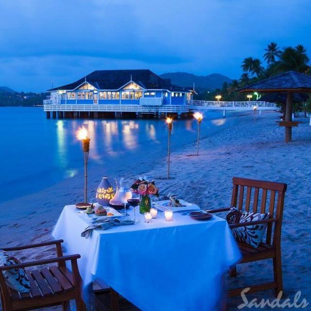 Amanda Trexler and Joe Napoleon's Wedding Registry on Zola