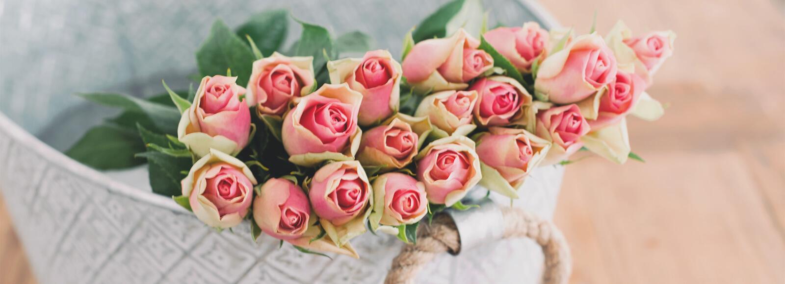 Nevaeh Schoessow and Matthew Fox's Wedding Registry on Zola