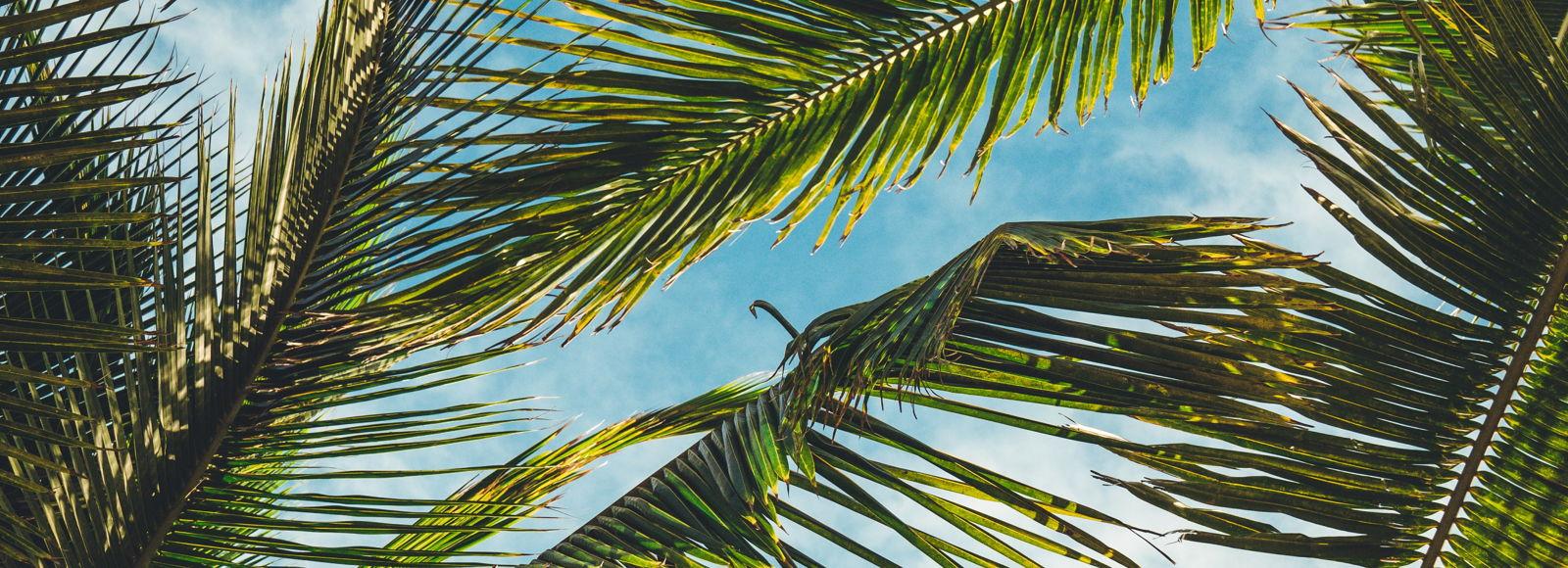 Nicole Wiesner and Brian Romer's Wedding Registry on Zola