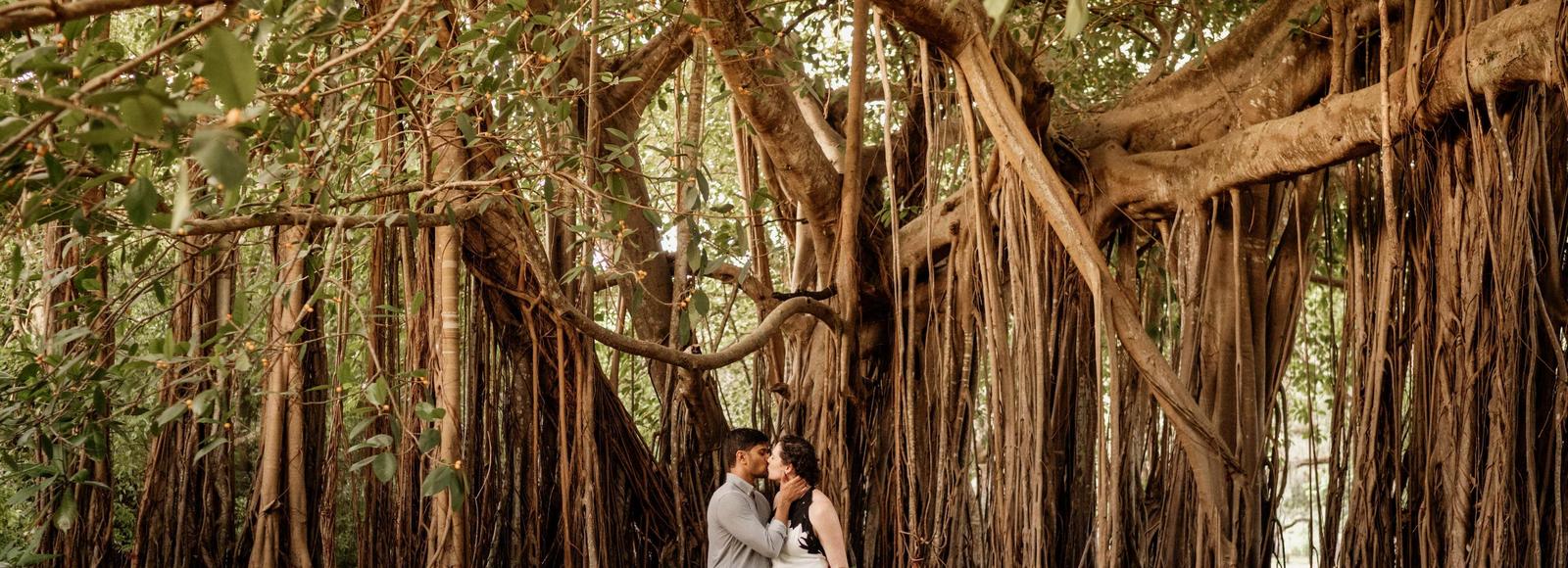 Nora Cloherty and Neel Iyer's Wedding Registry on Zola