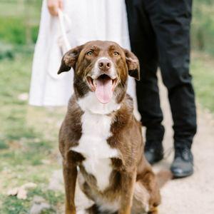 Devon Perugini and Owen Mundth's Wedding Registry on Zola