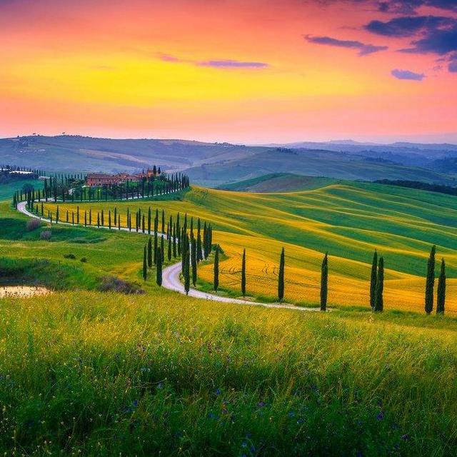 Patrick Kowalkowski and Erika Esprio's Wedding Registry on Zola