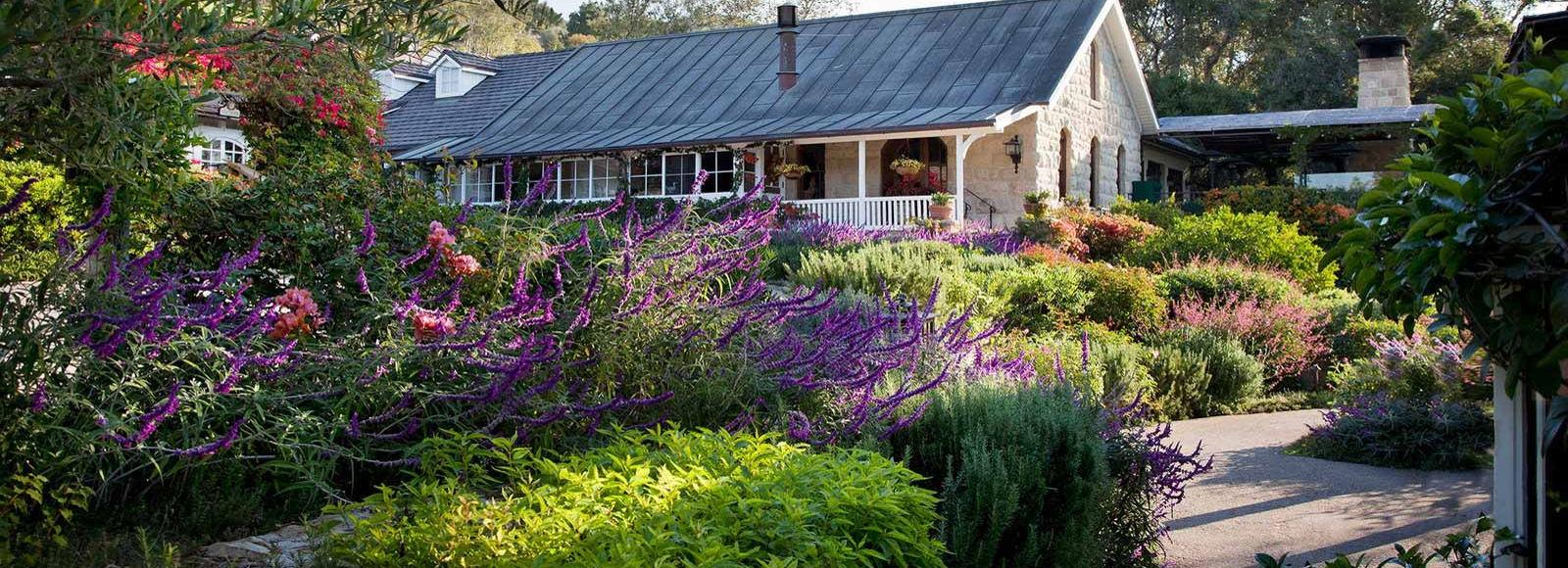 Caroline Chmiel and Peter Tilton's Wedding Registry on Zola