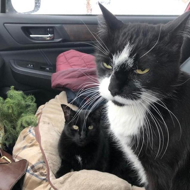 Jennifer Raad and Ross Sharkey's Wedding Registry on Zola