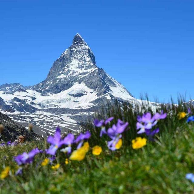 Rachel Towner and Colton Roberts's Wedding Registry on Zola