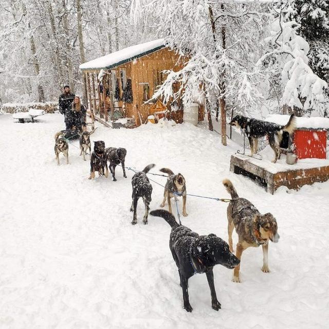 Hannah Terhaar and Aaron Raynor's Wedding Registry on Zola