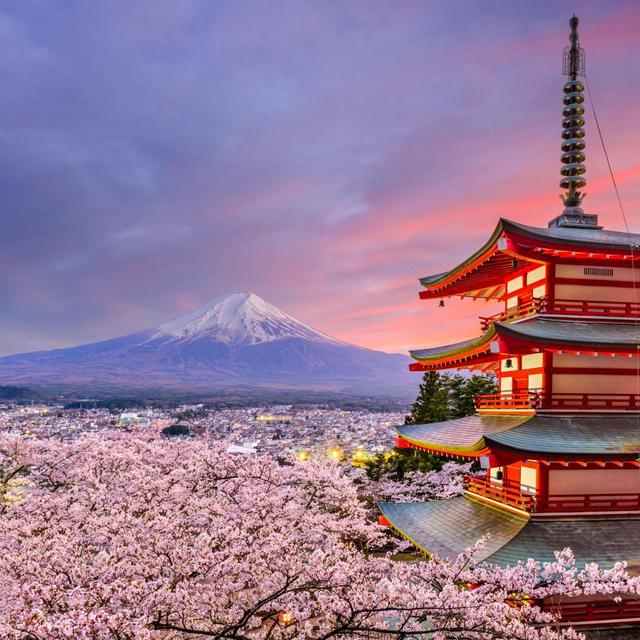 Kathryn Patterson and Rex Dickey's Wedding Registry on Zola