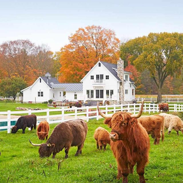 Megan Rivera and Anthony Sizer's Wedding Registry on Zola