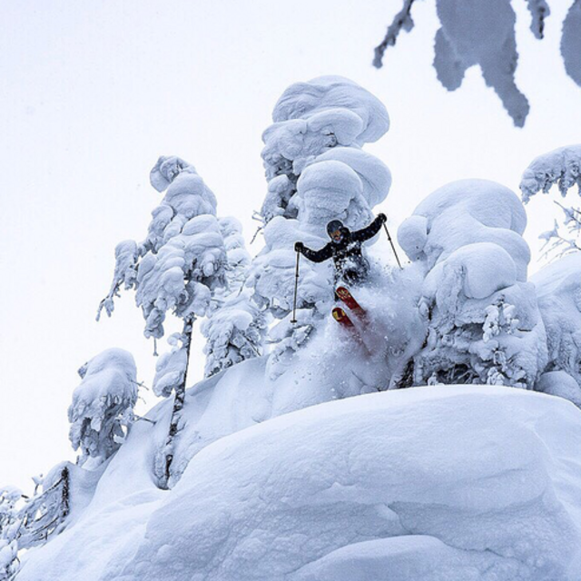 Jennifer shangkuan and Ron Bertrand's Wedding Registry on Zola