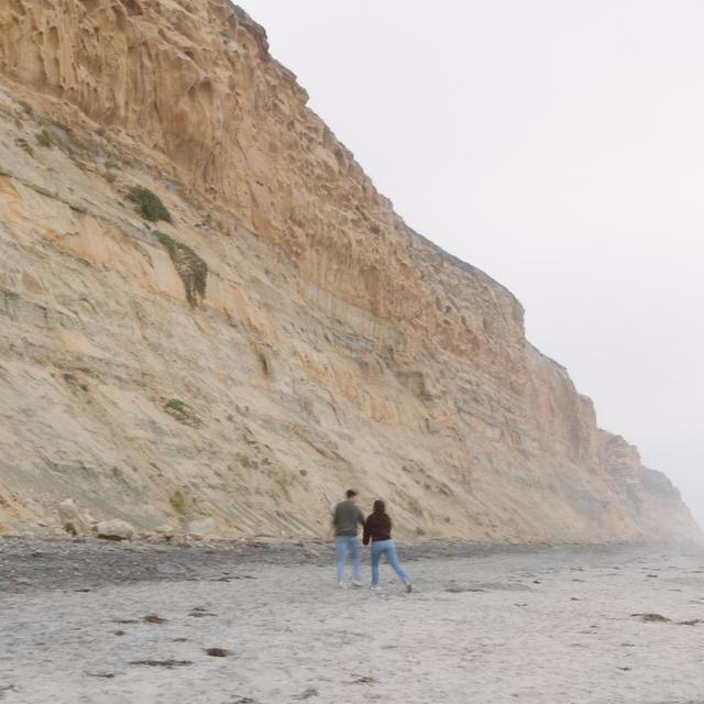 Roni Veksler and Josh Helali's Wedding Registry on Zola