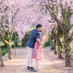 Sarah Routh and Peter Lee's Wedding Registry on Zola