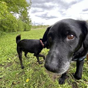 Tamara Rutkowski and Kevin Crum's Wedding Registry on Zola