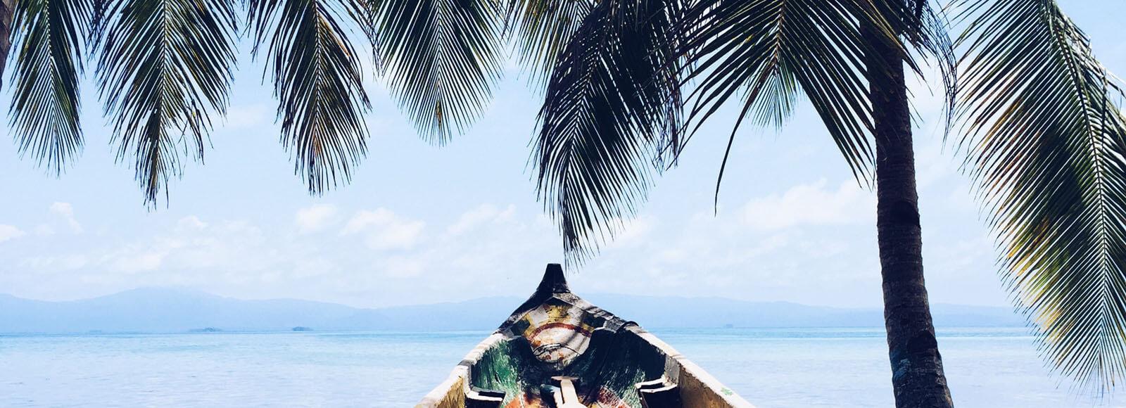 Sabrina Louis and Curdel Changoo's Wedding Registry on Zola