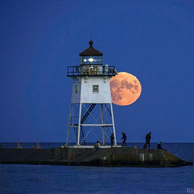 Maria Damaso and Sam Hagerman's Wedding Registry on Zola