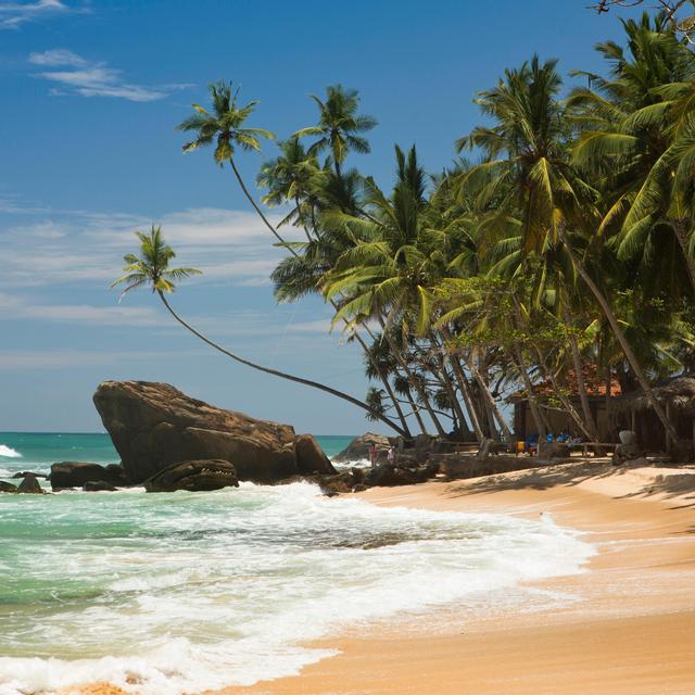 Sarah Roach and Tom Loake's Wedding Registry on Zola