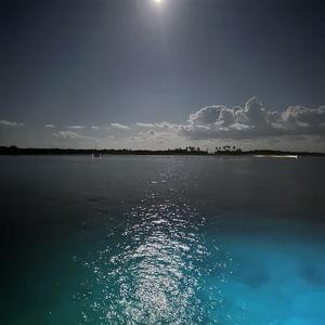 Seta Kiremidjian and William Riveron's Wedding Registry on Zola