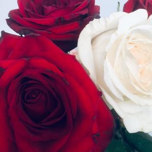 Shay Robertson and Darrica Lasseter's Wedding Registry on Zola