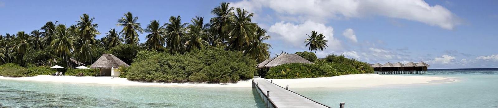 Shelly Martin and Matthew Lutz's Wedding Registry on Zola