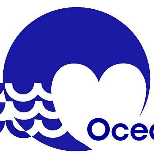 Rachel Sigler and Justin Manni's Wedding Registry on Zola