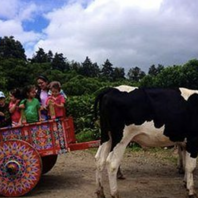 Isabella Guerry and Simon Dumas's Wedding Registry on Zola