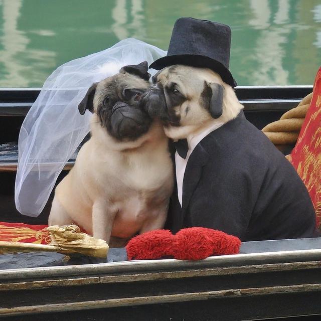 Siobhan Deacy and Charles Gaglione's Wedding Registry on Zola