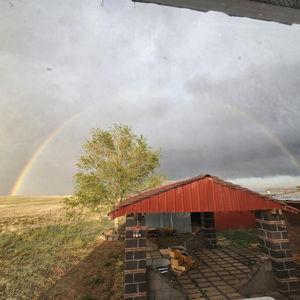 Mandy Speed and Kevin Broussard's Wedding Registry on Zola