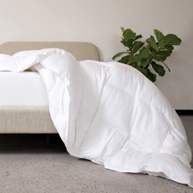 Jacqueline Trott and Matthew Spires's Wedding Registry on Zola