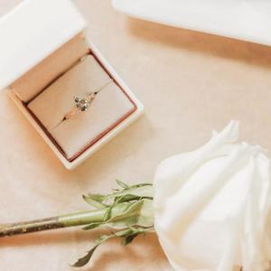Stephanie Foster and Ciro Di Napoli's Wedding Registry on Zola