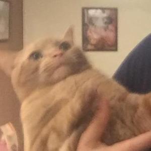 Joanna Ferreri and Steven Croucher's Wedding Registry on Zola