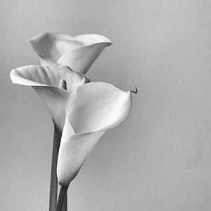 Takima Keane and Darryl Hudson's Wedding Registry on Zola