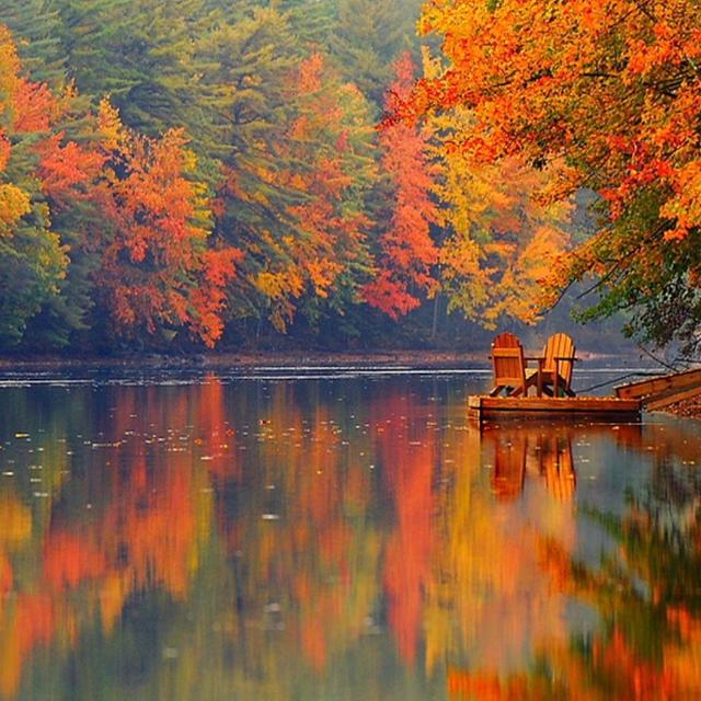 Tamsie Taylor and Wesley Robinette's Wedding Registry on Zola