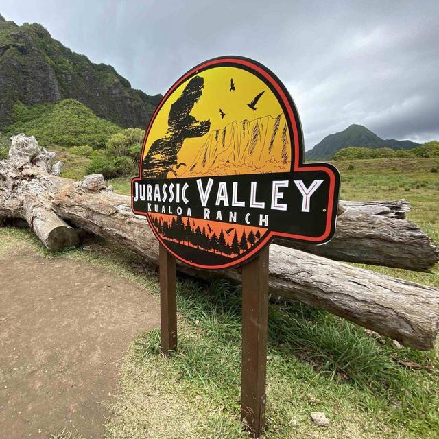 Taylor Tremayne and Kristof Janvary's Wedding Registry on Zola