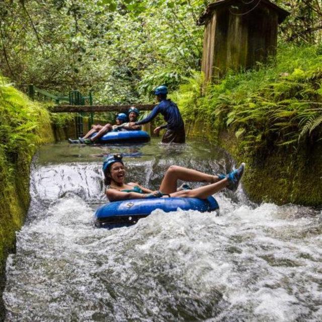 Taylor Tremayne and Kristof Janvary's Wedding Registry on Zola