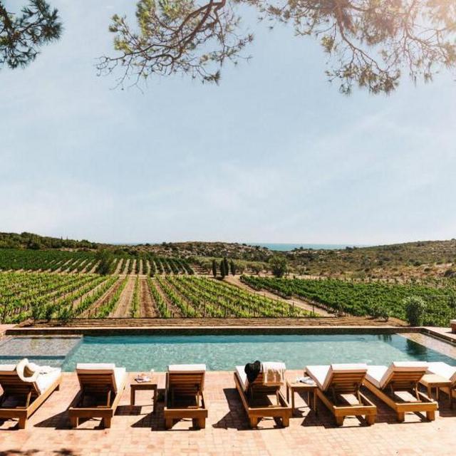 Anna Rupp and Theo Harrison's Wedding Registry on Zola