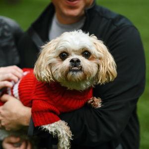 Colleen Francis and Max Tobin's Wedding Registry on Zola