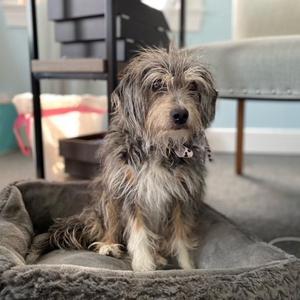 thomas sweitzer and Andres Uribe's Wedding Registry on Zola