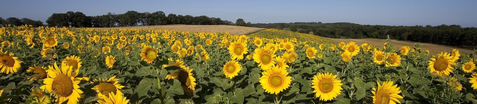 Ting Li and Sohrab Ahmari's Wedding Registry on Zola