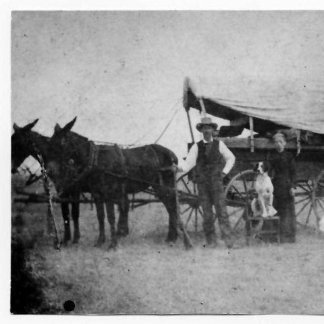 Tisha Benson and Mason Dowling's Wedding Registry on Zola