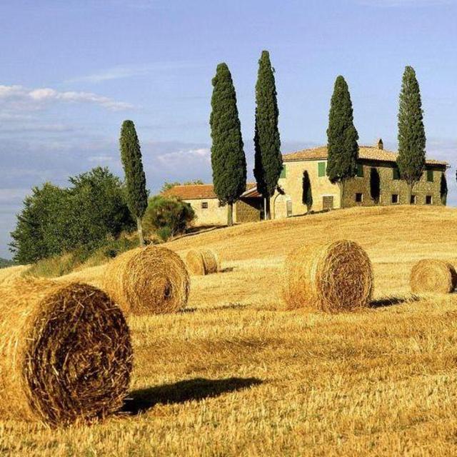 Jennifer Rushlow and Thomas Chen's Wedding Registry on Zola