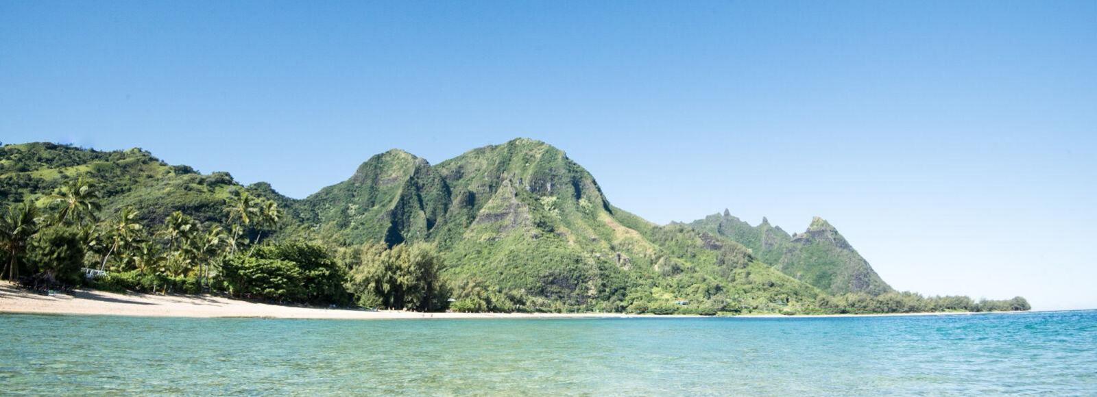 Payton Lily and Thomas Christoffersen's Wedding Registry on Zola