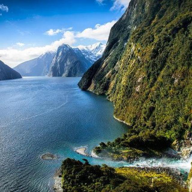 Toni Smiley and Spencer Riemer's Wedding Registry on Zola