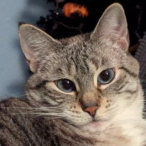 Megan Denis and Tre Blohm's Wedding Registry on Zola