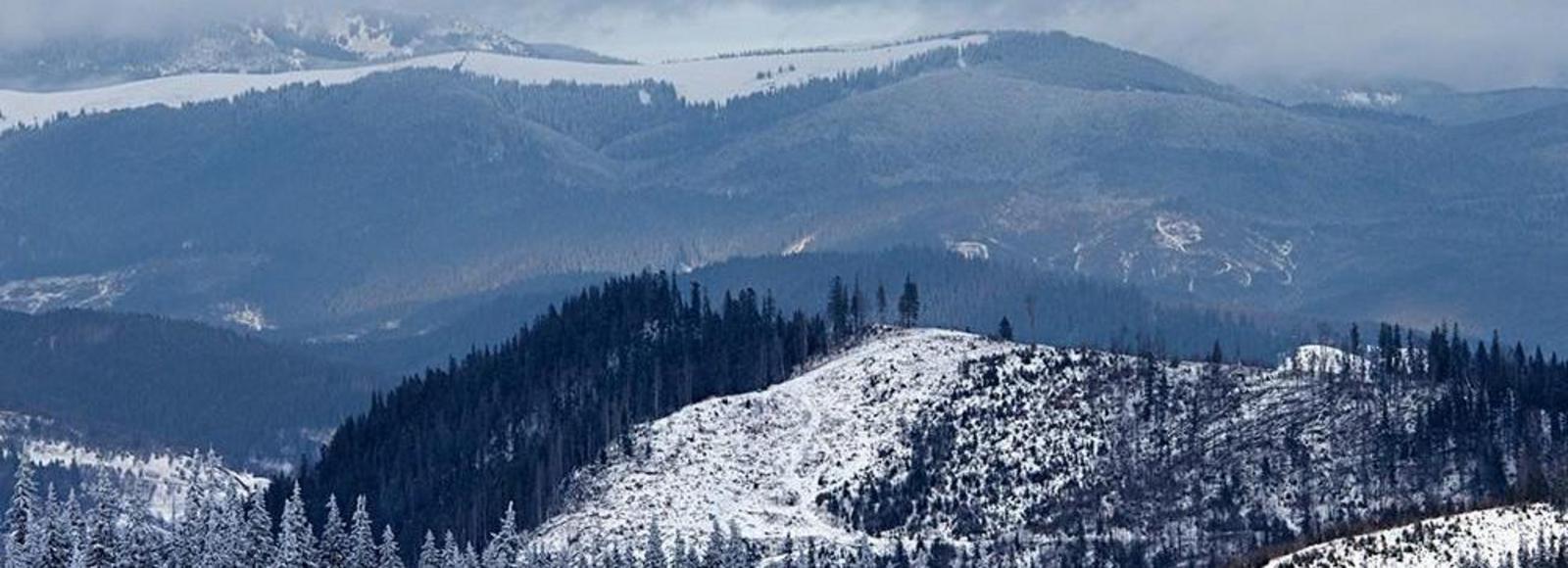 Amanda Chown and Kyle Musgrove's Wedding Registry on Zola