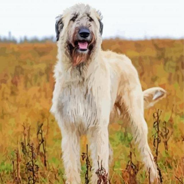 Victoria Jansen and Wesley Grahl's Wedding Registry on Zola