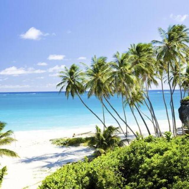 Julia Durkin and Robert Watkins's Wedding Registry on Zola