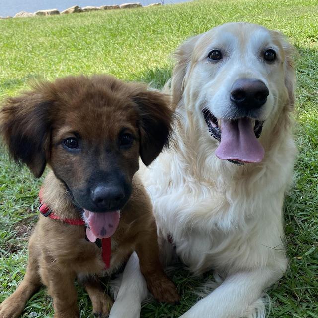 Meg Ricci and Quinten Wrenn's Wedding Registry on Zola