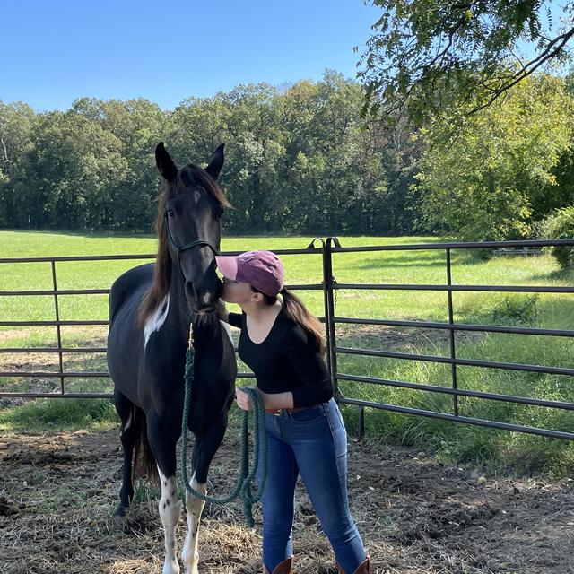 Tara Zic and Justin Haefner's Wedding Registry on Zola