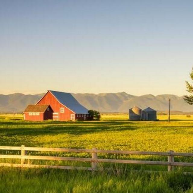 Tara Zic and Justin Haefner's Wedding Registry on Zola