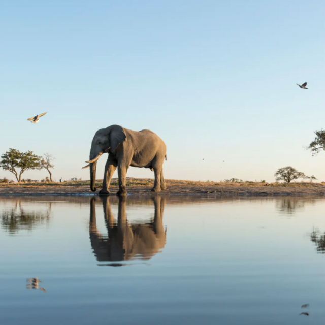 Zoe Katz and Ryan Nowicki Stewart's Wedding Registry on Zola